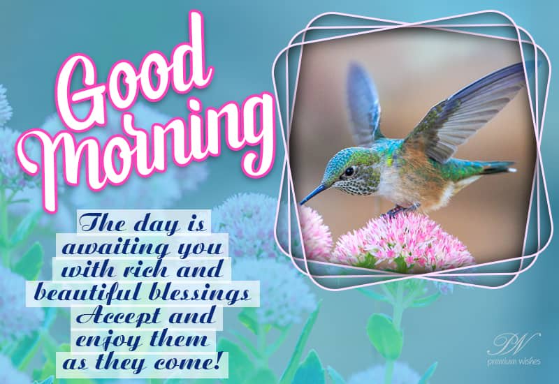 Simply Good Morning - Page 15 of 101 - Premium Wishes