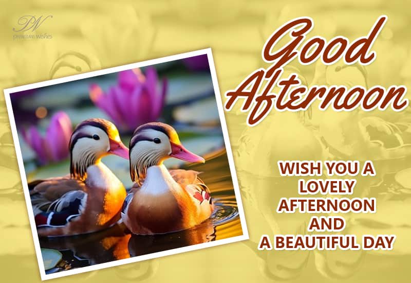 Good Afternoon Wishes - Page 10 of 122 - Premium Wishes