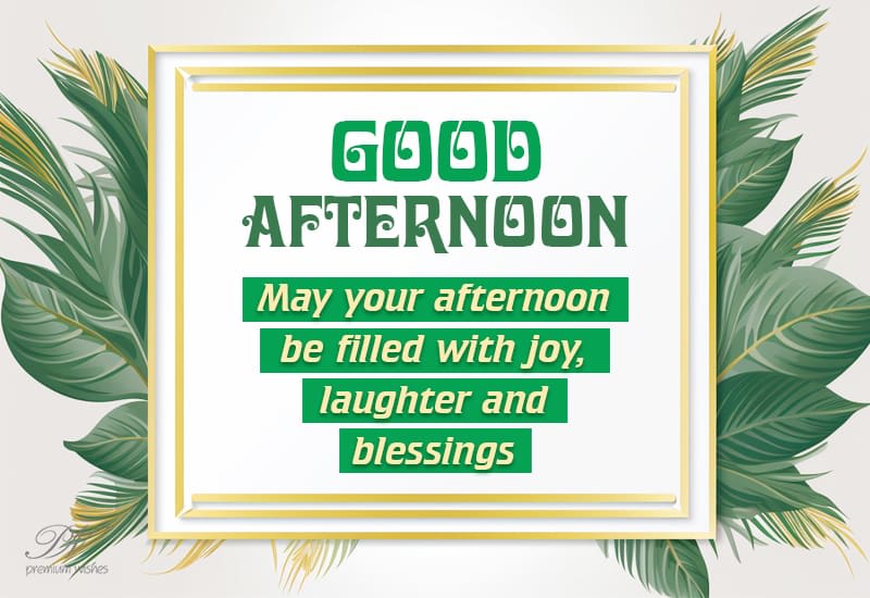 Good Night Game - Premium Wishes