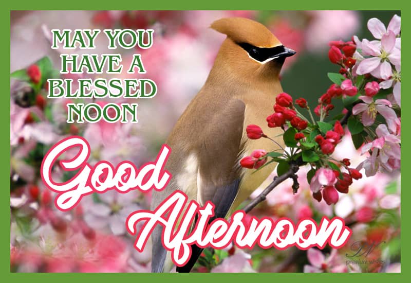 Good Afternoon - May you have a blessed noon - Friends hope you stay ...