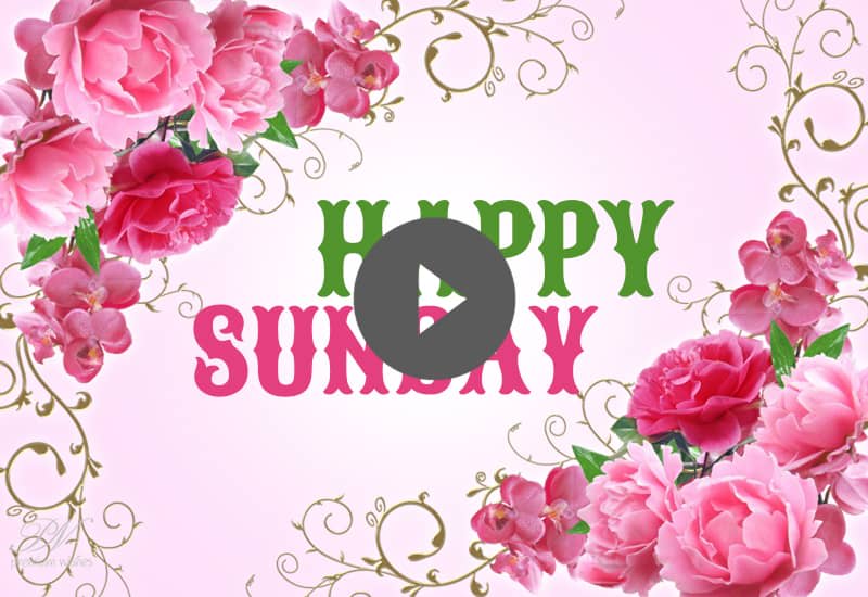 Happy Sunday - Good Morning and enjoy your weekend well - Premium Wishes