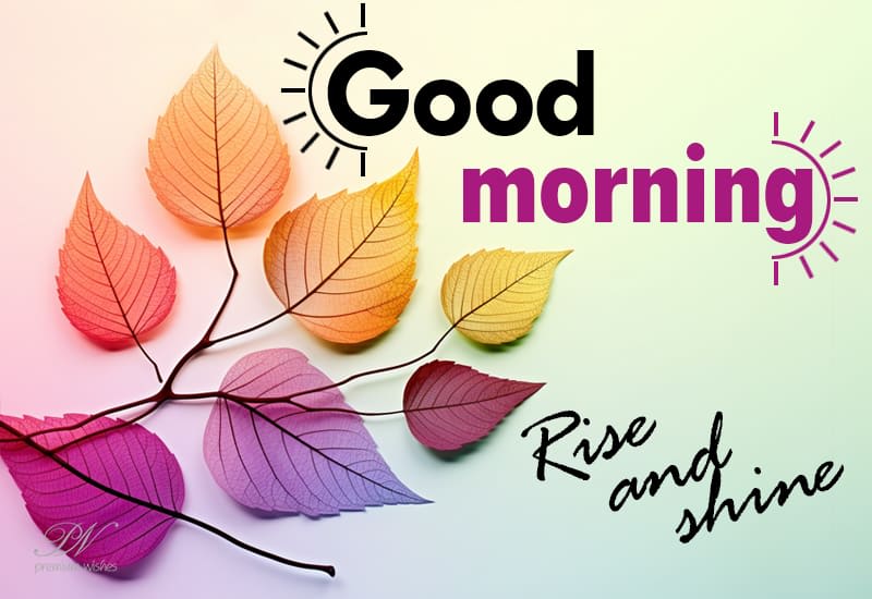 Good Morning - Rise and Shine Today - Fly High - Premium Wishes