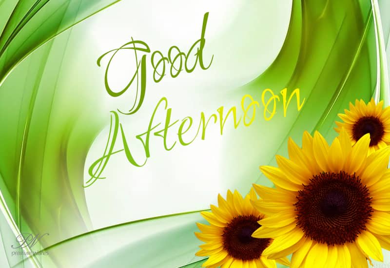 Good Afternoon - Here’s a wish for a fun afternoon and the gentle ...