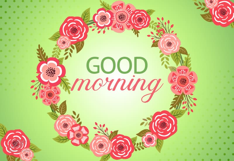 Happy Saturday - Wishing you an excellent day and a great weekend ...