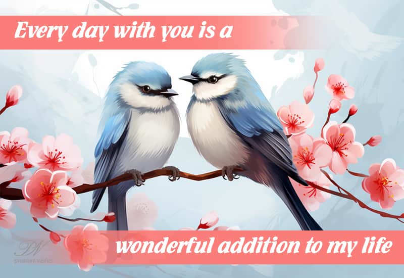 Everyday with you is a wonderful addition to my life - Premium Wishes