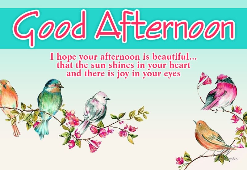 Good Afternoon - I hope your afternoon is beautiful that the sun shines ...