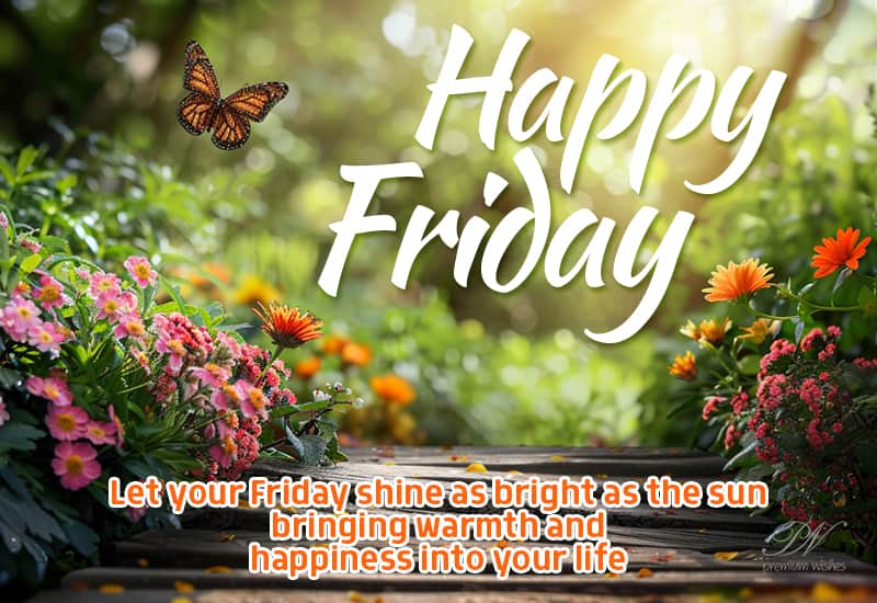 Happy Friday - Let your Friday shine as bright as the sun bringing ...