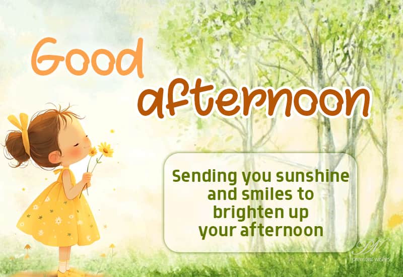 Good Afternoon - Sending you sunshine and smiles to brighten up your ...