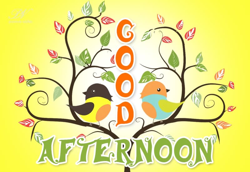 Sending you warm afternoon greetings and best wishes for a fantastic ...