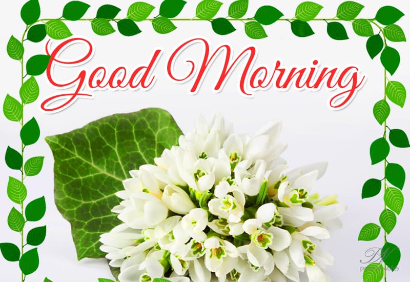 Sending you a gentle breeze of positivity and good vibes to kick start ...