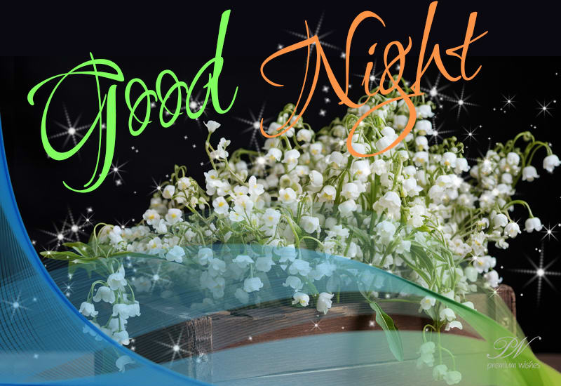 Good Night - Wishing you a night of gentle rest - Premium Wishes