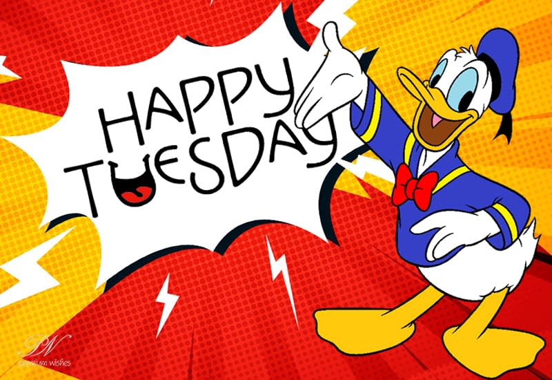 Happy Wednesday - May the lord fulfill your every need today - Premium ...