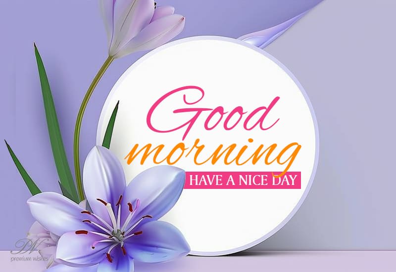 Happy Monday - May the new week turn out to be the most amazing week of ...