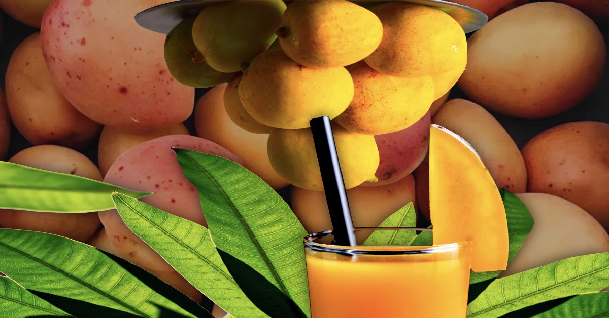 The fresh way of things.