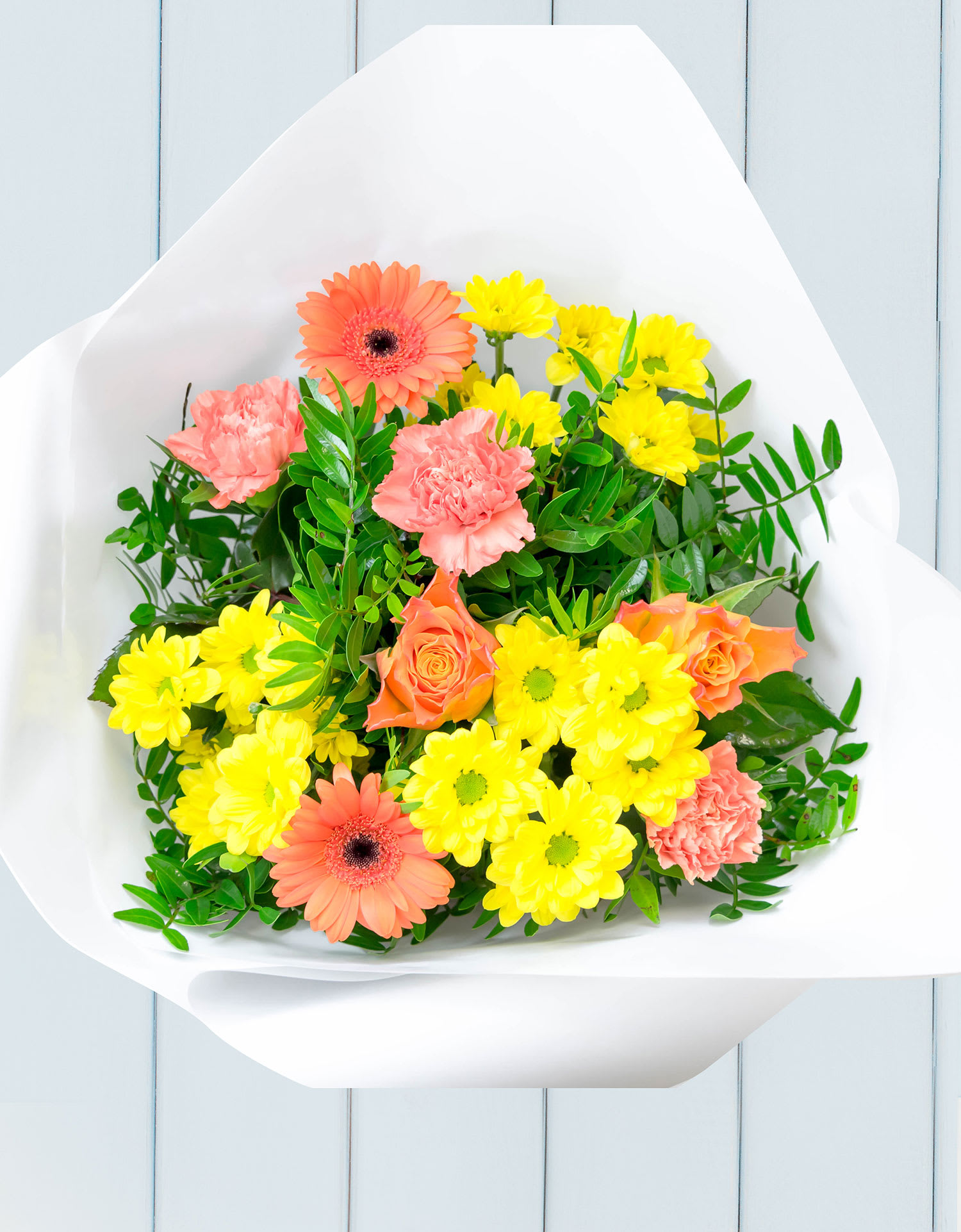 Plants | Cancer Research UK Flower Shop