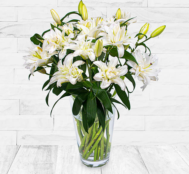 Double-Flowering Lilies | 123 Flowers