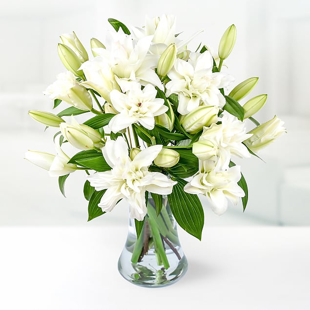 Double-Flowering Lilies | Bargain Blooms
