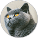 Order & Buy Cat Litter Online | PrettyLitter