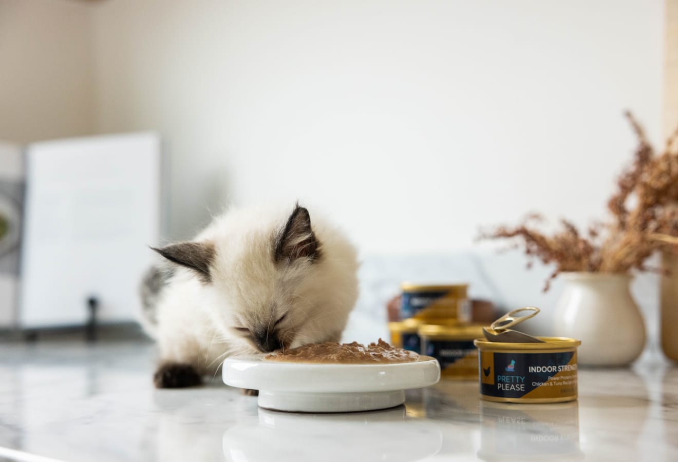 PrettyPlease Cat Food Subscription & Delivery | PrettyLitter PrettyPlease Cat Food Subscription & Delivery | PrettyLitter