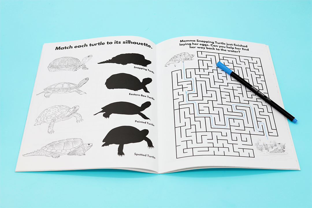 How to Make a Coloring Book to Sell