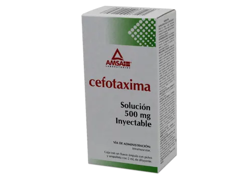 Cefotaxima Im 500 Mg Solución Inyectable 2 Ml
