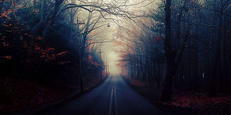 Twitter Arka Plan indir, arka plan örnekleri, Arka plan nasıl değiştirilir