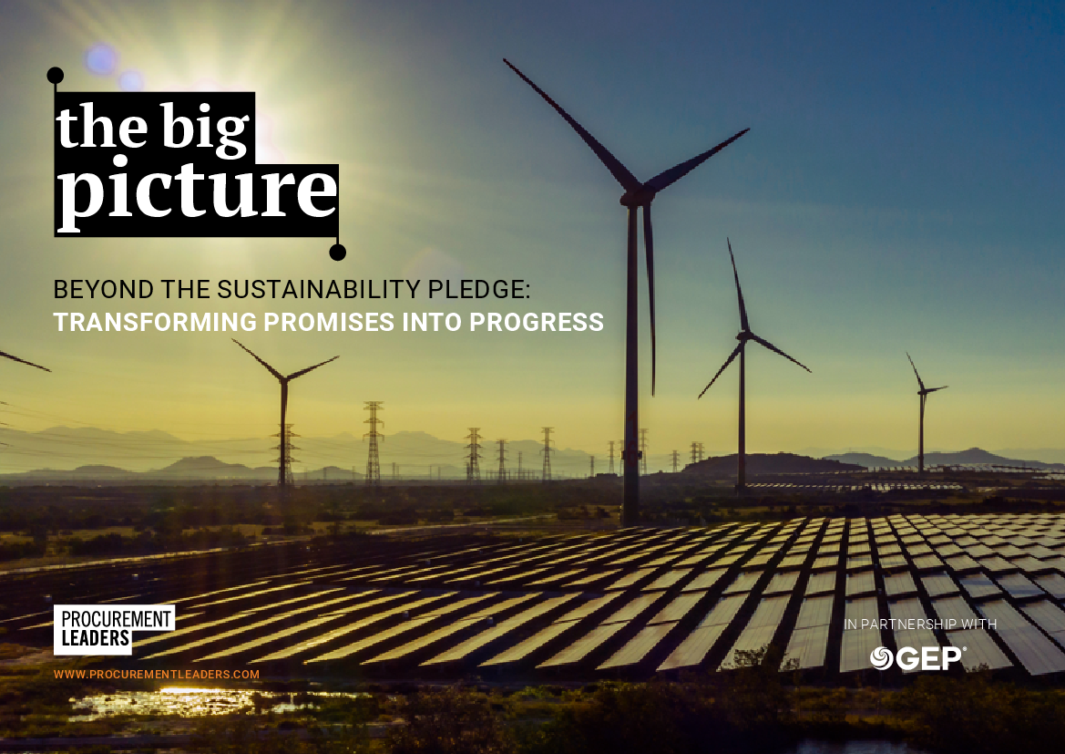 Marketplace - Procurement Leaders | The Big Picture: Beyond the ...