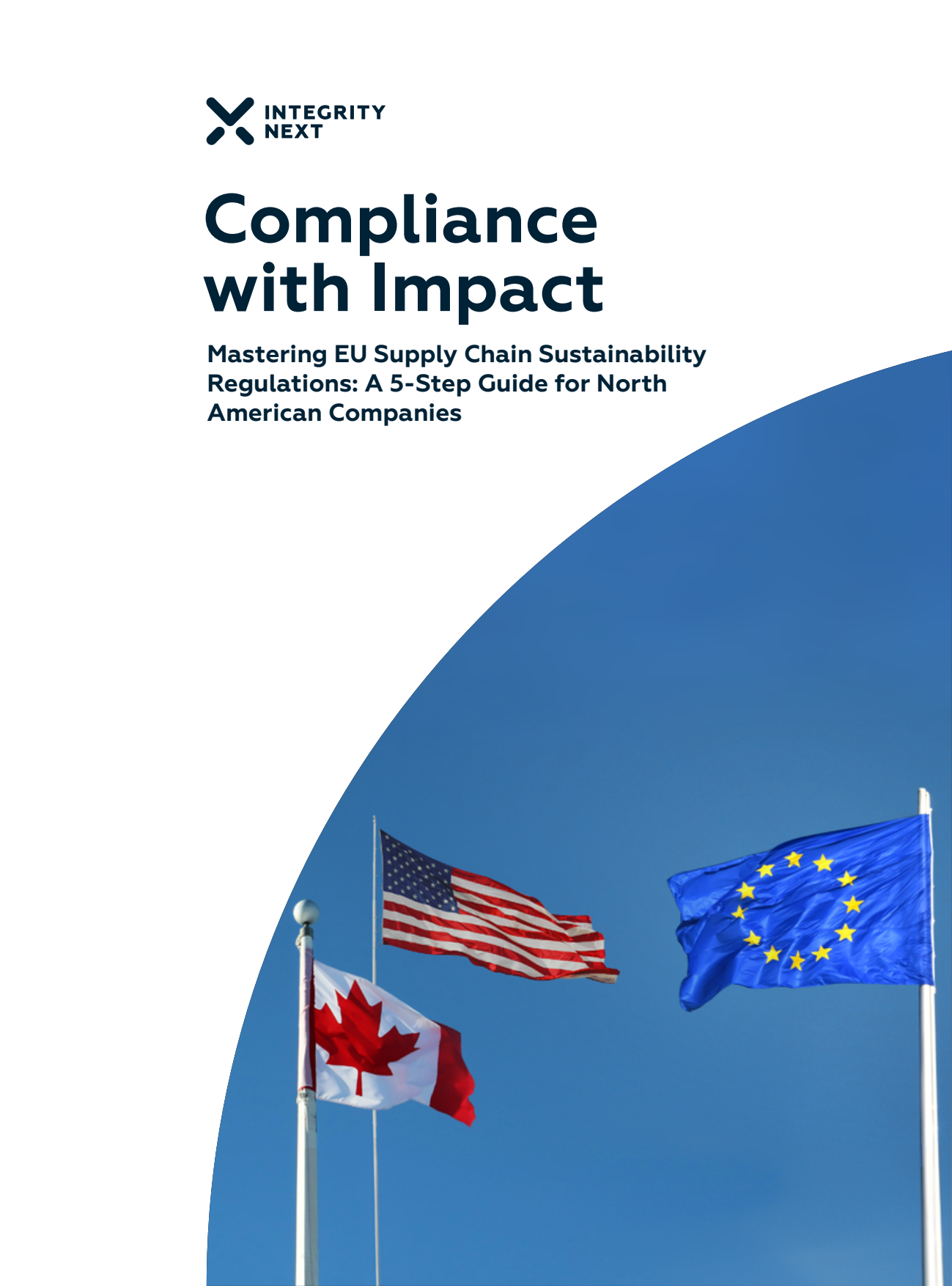 Marketplace - Procurement Leaders | Compliance with Impact - Mastering ...