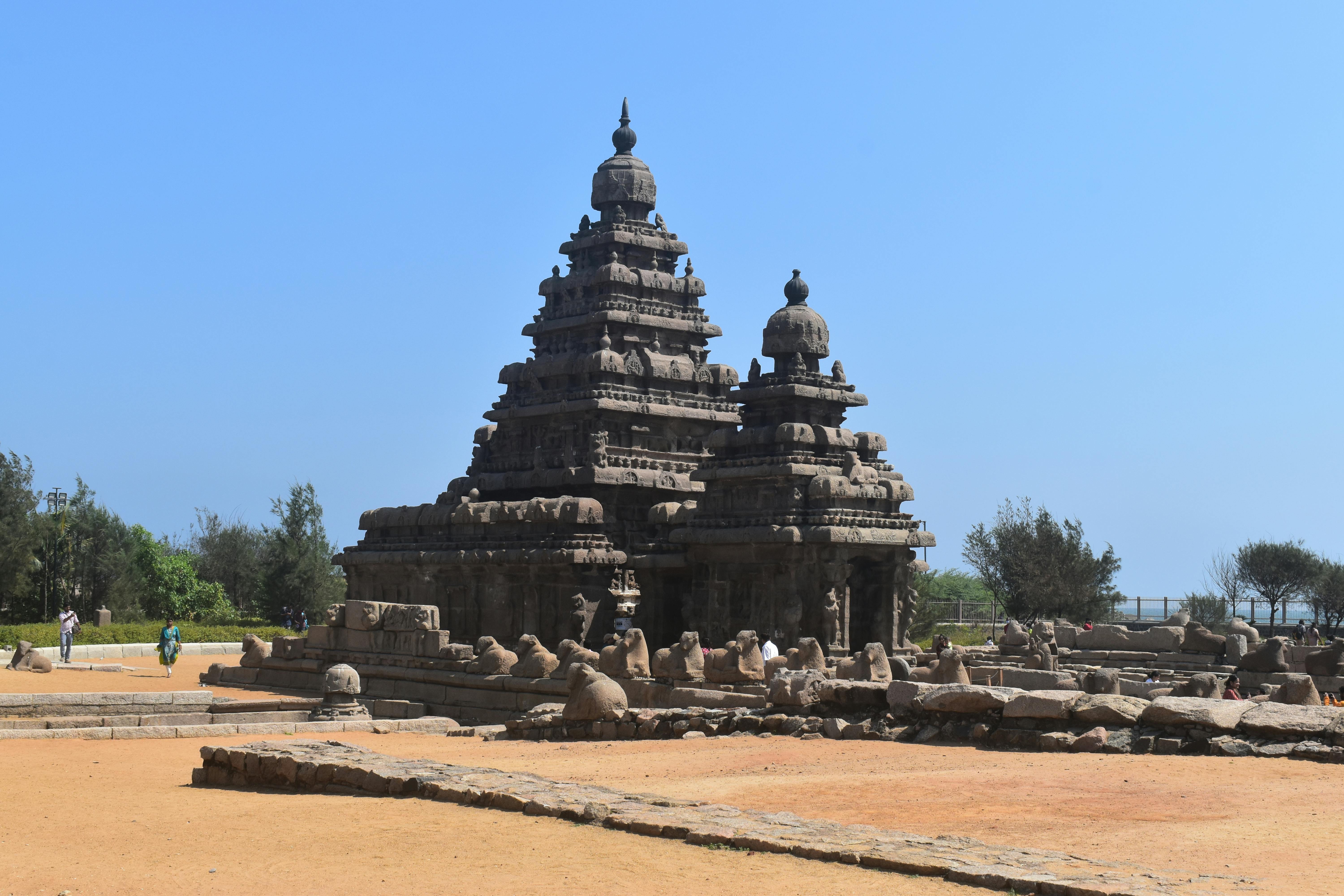 Dyna Tours India