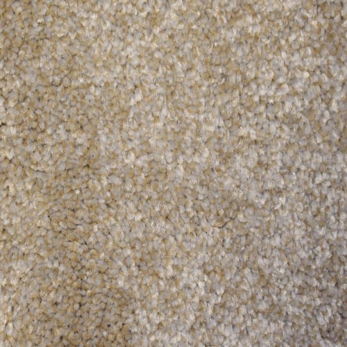 Pledge Decoy by Genstock - the Greater Philadelphia area - General Floor