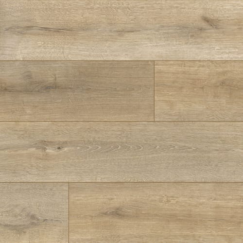 Bliss DB Sparrow by Paramount Flooring - Hartford, WI - Schnorenbergs ...