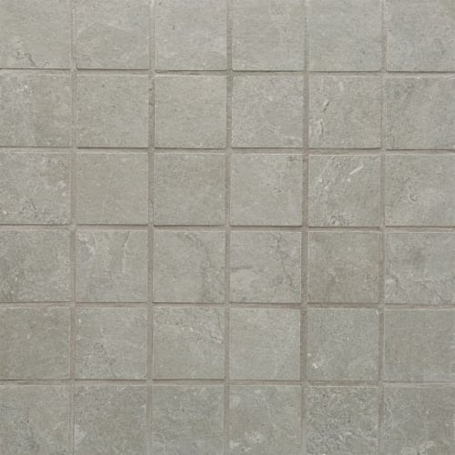 Lagos Concrete Mosaic by Arizona Tile - Idaho Falls, ID - Universal ...