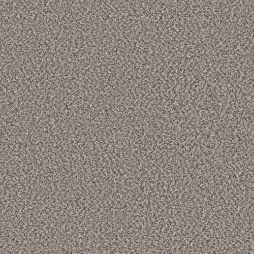 Break Away (B) Clam Shell by Shaw Industries - Rochester Hills and ...