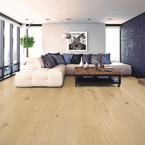 Royale Collection Cardiff by Nuvelle - West Palm Beach, FL - Nuvelle ...