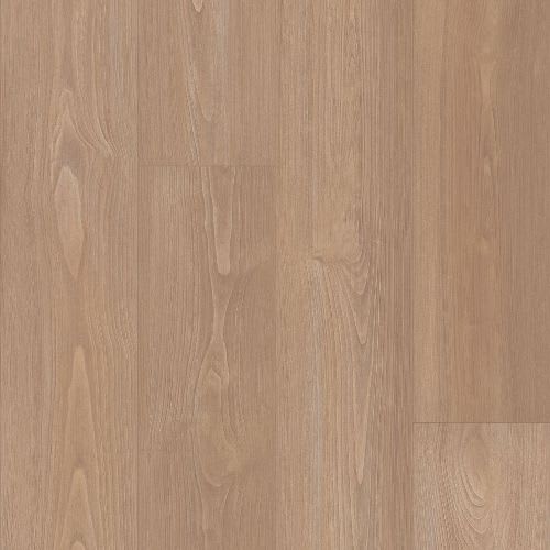 Prodigy Hdr Mxl Plus Tannin by Shaw Industries - Chantilly/Centreville ...