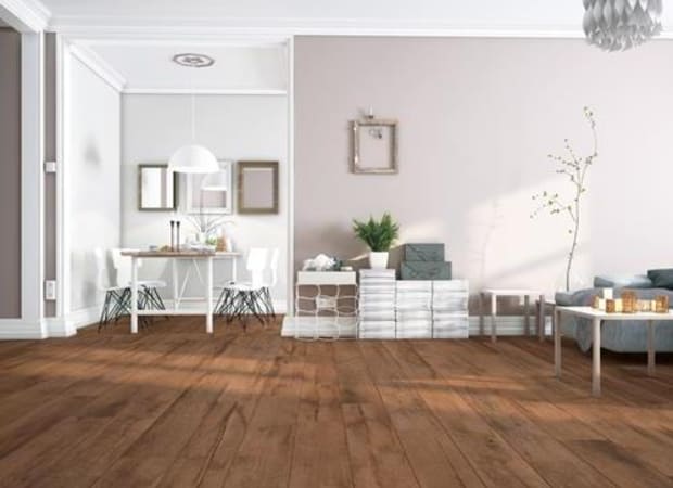 Sono Eclipse Saloon 53444 by Sfi - Pompano, FL - Southland Floors