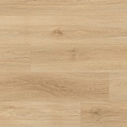 Coretec Pro Plus 7" Springfield Oak by Coretec - Honolulu, HI ...