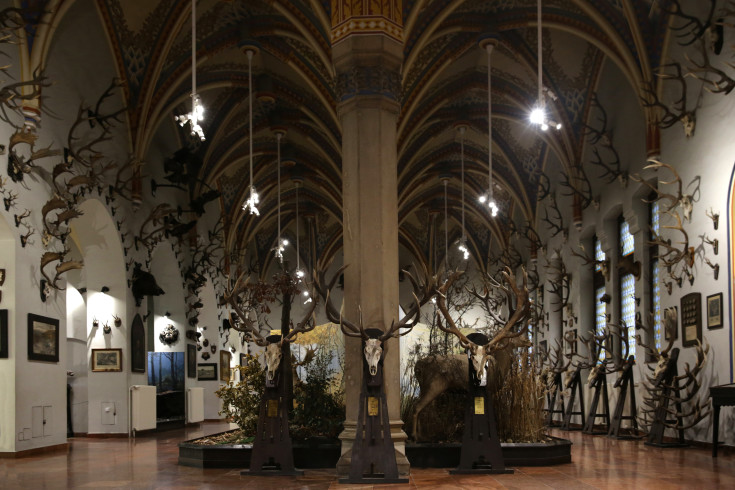 Galería de Localizaciones de Museos para Rodajes y Sesiones de Fotos