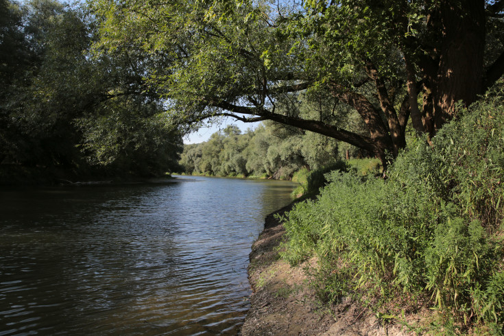 ハンガリーの湖と川――映像・写真撮影のロケ地