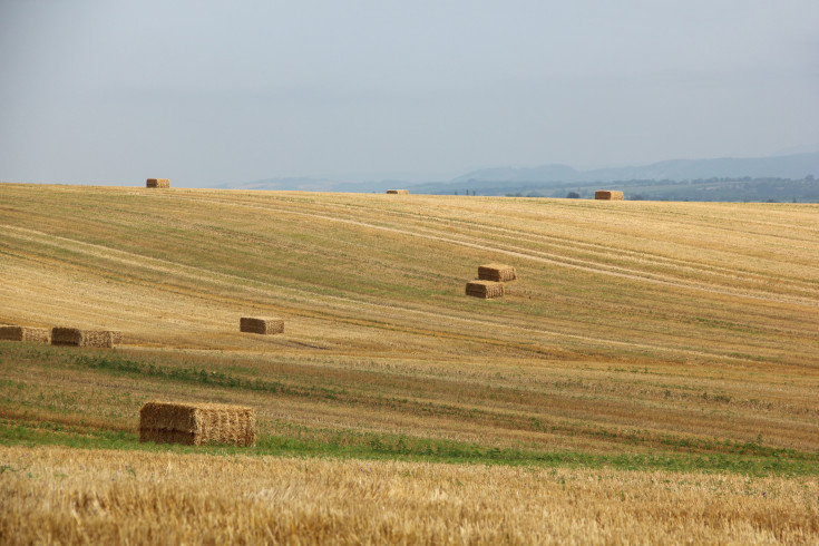 Diverse Hungarian Landscapes for Film and Photo Productions