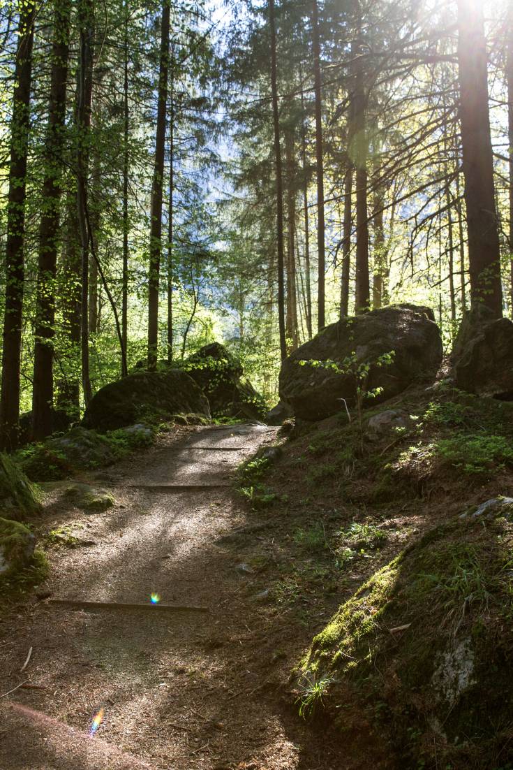 Austria's Enchanting Forests for Film & Photography