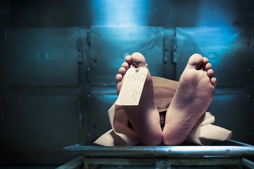 TV Show Los Angeles Casting Call for Upscale Guys for an Autopsy Scene ...