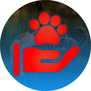 Cali Support Foundation | Explore Cali Support Foundation | PWI