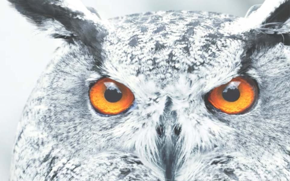 4K UHD Projector Screens - Projectorpoint