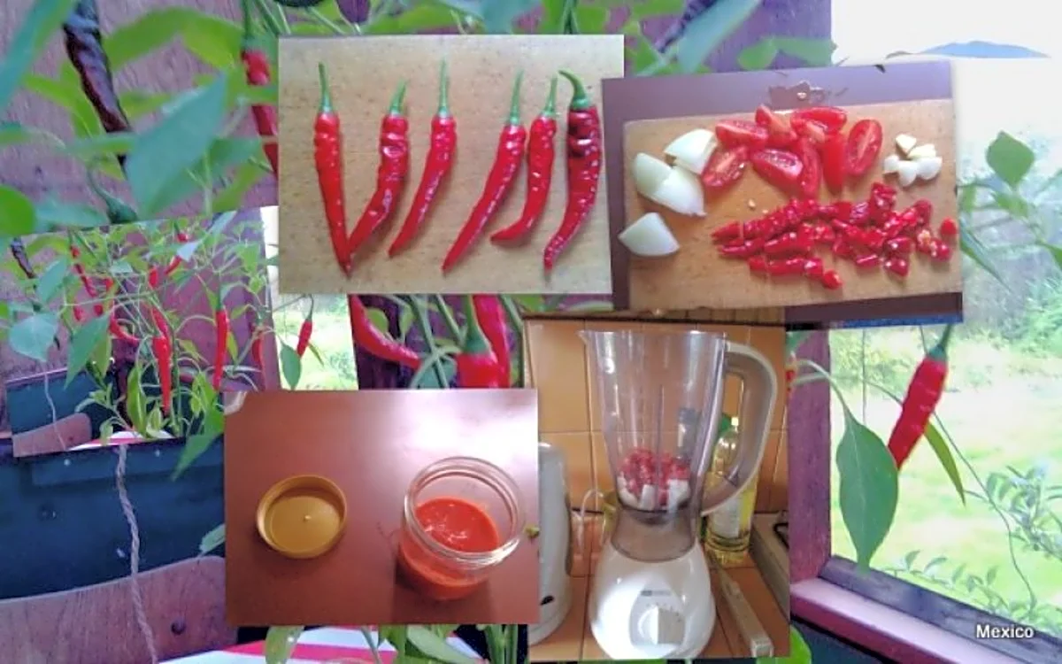 Cayenne salsa - Opskrift på Cayenne salsa