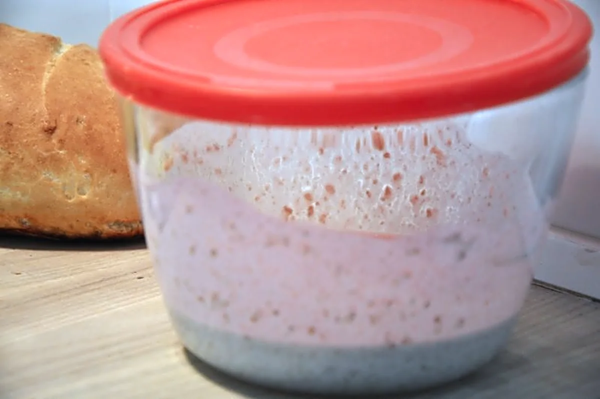 Lav en surdej - Opskrift på Lav en surdej