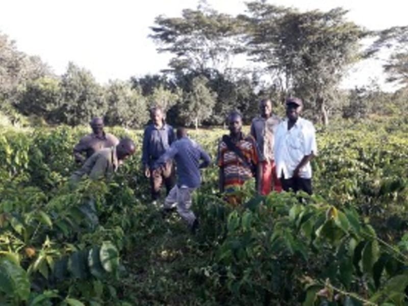 Livelihoods and Food in Rural Malawi | Missio