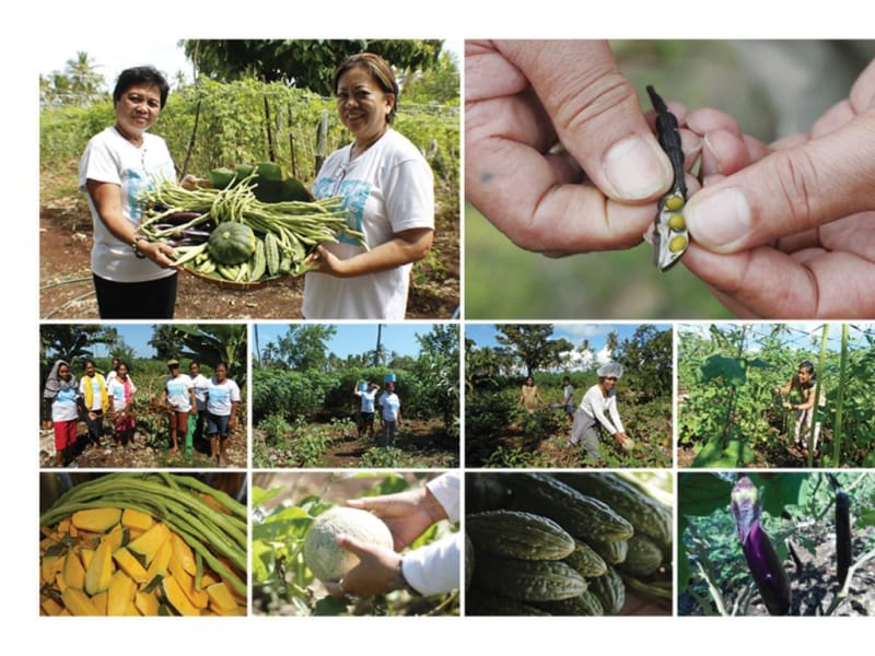 Grow a Parish Farm in the Philippines | Missio