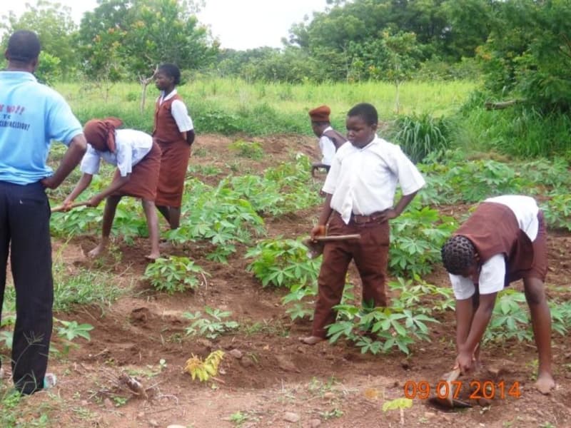 Create Food Security in Nigeria | Missio