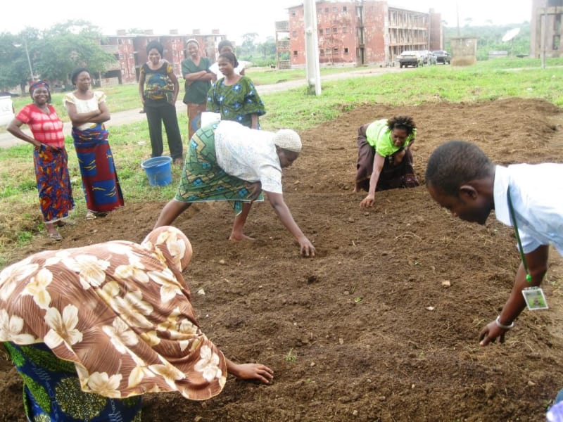 Create Food Security in Nigeria | Missio